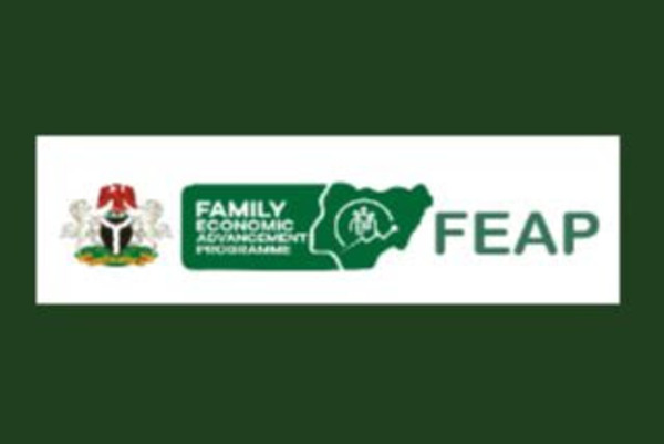FG Opens Application Portal For N100,000 Monthly FEAP Grant - APPLY NOW! - Plotterwave