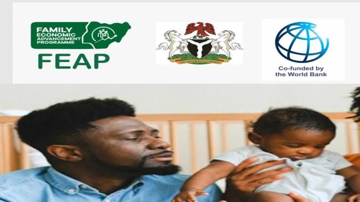 5 Things To Know Before Applying For N100,000 Monthly FEAP Grant - Plotterwave