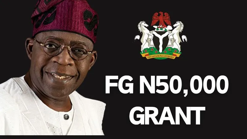 NCHSP 50k Grant vs PCGS 50k Grant: Which Offers More Relief To Nigerians? - Plotterwave