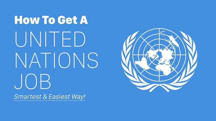 How To Apply For UN Jobs In Nigeria - Plotterwave
