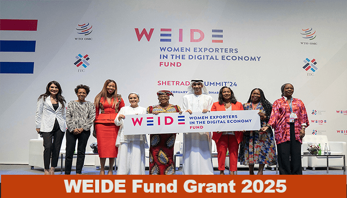 FG WEIDE Fund Grant 2025 | Apply Now - Plotterwave